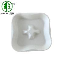 China Bagasse Fiber Disposable Fruit Platter Trays 4 Split Biodegradable Trays For Food FDA for sale