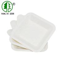China Travel Biodegradable Sugarcane Bagasse Plates for sale