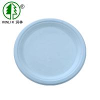 China Biodegradable bagasse pulp disposable birthday party dishes for sale