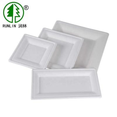 China Rectangular Biodegradable Sugarcane Bagasse Plates Environmentally Friendly Natural Fiber for sale