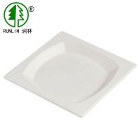 China 21CM Paper Biodegradable Sugarcane Bagasse Plates Environment Friendly Disposable for sale