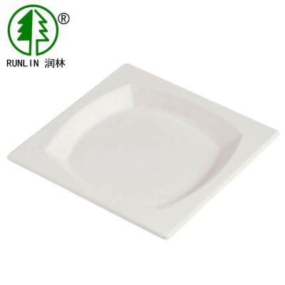 China 21CM Paper Biodegradable Sugarcane Bagasse Plates Environment Friendly Disposable for sale