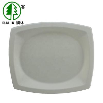 China Recyclable Heavy Duty Eco Friendly Dinnerware Disposable Sugarcane Paper Plates for sale