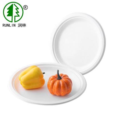 China 100% Compostable Disposable Bagasse Plates Used for Fast Food Restaurants for sale