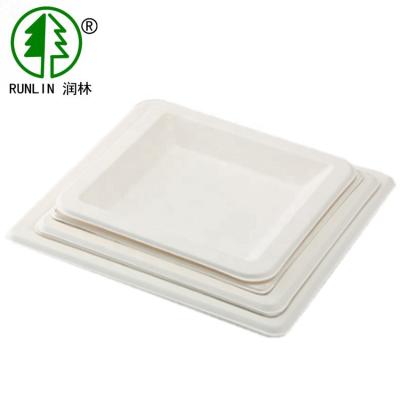China Recyclable Disposable Biodegradable Sugarcane Bagasse Plates Natural White Color Square for sale