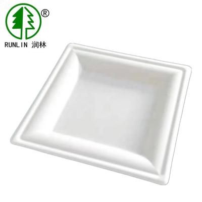 China 8 Inch Square Biodegradable Sugarcane Bagasse Plates Unbleached Birthday Party Disposable for sale