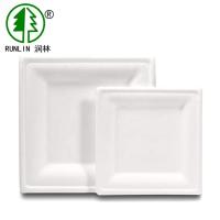 China 18g 20g Biodegradable Sugarcane Bagasse Plates Disposable Paper Tableware For Cake for sale