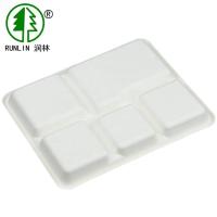 China Biodegradable Sugarcane Tableware 5 Compartments  Food Packaging Tray for sale