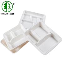China Recyclable Disposable Lunch Trays SGS Multi Compartments Eco Friendly Takeout Containers For School for sale