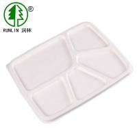 China Disposable Paper Biodegradable Food Trays Bagasse 5 Compartments For School Lunch for sale