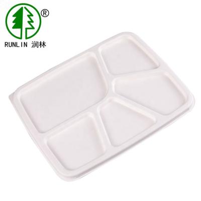 China Disposable Paper Biodegradable Food Trays Bagasse 5 Compartments For School Lunch for sale