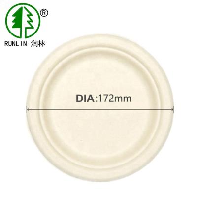 China Eco-friendly natural plant fiber material disposable party plate for sale