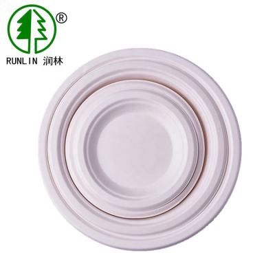 China High Quality Plant Pulp Biodegradable Disposable Dinnerware for Parties for sale