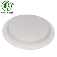 China Highly Rigid 10 inches Large Paper Plates 50 Pack unit White Round Disposable Sturdy Bagasse Plates for sale