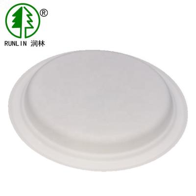 China Highly Rigid 10 inches Large Paper Plates 50 Pack unit White Round Disposable Sturdy Bagasse Plates for sale