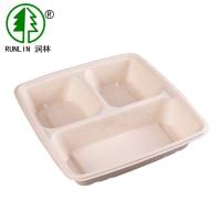 China Sugarcane Bagasse Fiber Biodegradable Food Trays Pulp Molding Natural Color ODM for sale