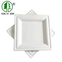 China Disposable Plant Fiber White Plates perfect for Birthday Parties for sale