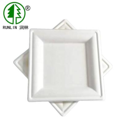 China Disposable Plant Fiber White Plates perfect for Birthday Parties for sale