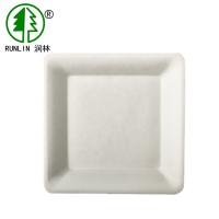 China White Biodegradable Square Plates 155x155mm Sugarcane Bagasse Birthday Party Disposable for sale