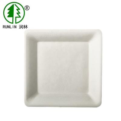 China White Biodegradable Square Plates 155x155mm Sugarcane Bagasse Birthday Party Disposable for sale