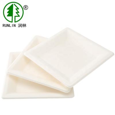 China Rectangular Eco Friendly Biodegradable Sugarcane Bagasse Plates Birthday Party Paper for sale