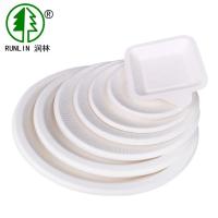 China Sugarcane White Eco Friendly Plates Biodegradable Compostable Bagasse Dish for sale
