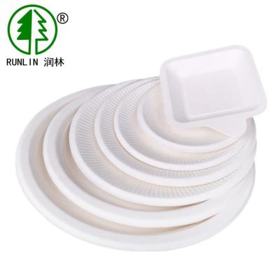 China Sugarcane White Eco Friendly Plates Biodegradable Compostable Bagasse Dish for sale