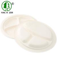 China Biodegradable Bagasse Sugarcane Paper Pulp 9