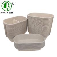 China 2 Compartments Meat Box Other Compostable Tableware Wheat Fiber Food Containers For Take Away for sale