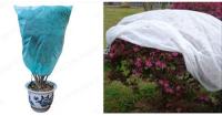 China TNT spunbond nonwoven fabric for sale