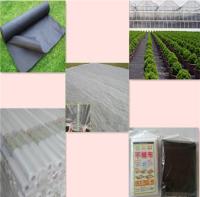 China PP Spunbonded Nonwoven Fabric for sale