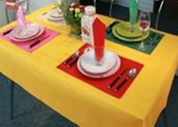China 40gsm 50gsm pp spunbonded nonwoven tableclothes, pp spunbonded nonwoven tableclothes for sale