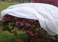 China 50gsm white pp spunbond nonwoven plant cover for sale