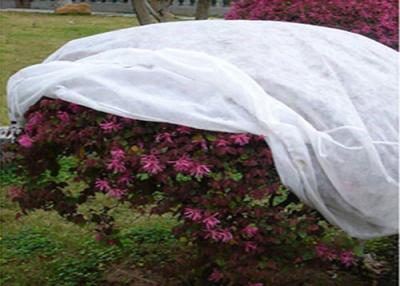 China 50gsm white pp spunbond nonwoven plant cover for sale