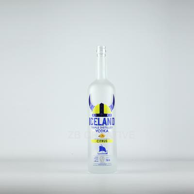 China 700ml Custom Glass Bottle Frosted Liquor Glass Bottle with Screw Neck for Premium Spirits Packaging for sale