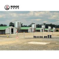 China Custom Industrial-Style Chicken Coop for Farm Ranch Steel Structure Mesh Frame for Warehouse Building for sale