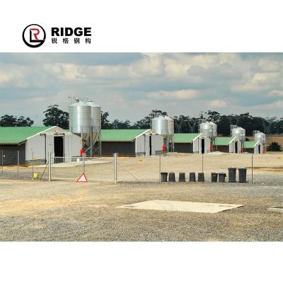 China Standardized prefabricated layer/broiler house with H-beam or light steel trusses. Anti-corrosion, insulated steel structure, energy-saving and eco-friendly, professional breeding design, customized for sale