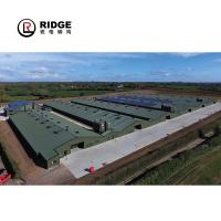China Custom Industrial-Style Chicken Coop for Farm Ranch Steel Structure Mesh Frame for Warehouse Building for sale