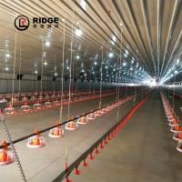 China Custom Industrial-Style Chicken Coop for Farm Ranch Steel Structure Mesh Frame for Warehouse Building for sale
