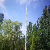 China Artificial Self Supporting 50m Monopole Steel Tower for sale
