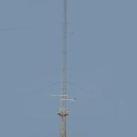 China 30 Years Life Time Q235B 180KM/H Guyed Wire Tower for sale