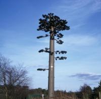 China ANSI Bionic Tree Single Tube Camouflage Cell Tower for sale