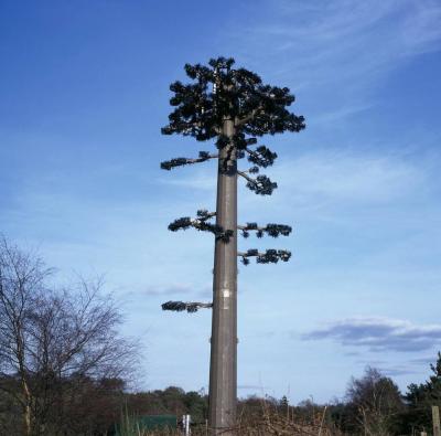 China ANSI Bionic Tree Single Tube Camouflage Cell Tower for sale