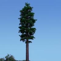 China ANSI Bionic Tree Single Tube Camouflage Cell Tower for sale