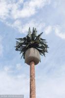 China ChangTong Camouflaged GSM Antennas Mobile Cell Tower for sale