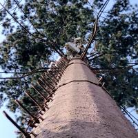 China 20 meter Self Supporting Antenna Broadcast Towers for sale