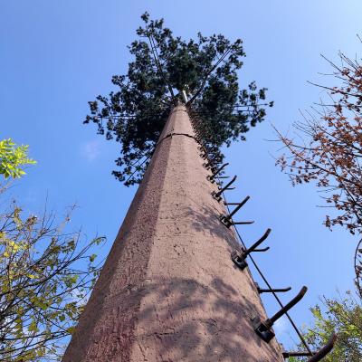 China 36m/s Hot DIP Galvanized 5g Mobile Cell Tower for sale