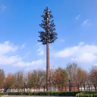 China Radio WiFi 4G Cell Phone Bts Monopole Telecom Tower for sale