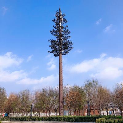 China Radio WiFi 4G Cell Phone Bts Monopole Telecom Tower for sale