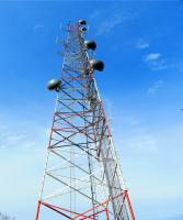 China 30 Meter GSM Antenna Fake Palm Tree Cell Phone Tower for sale